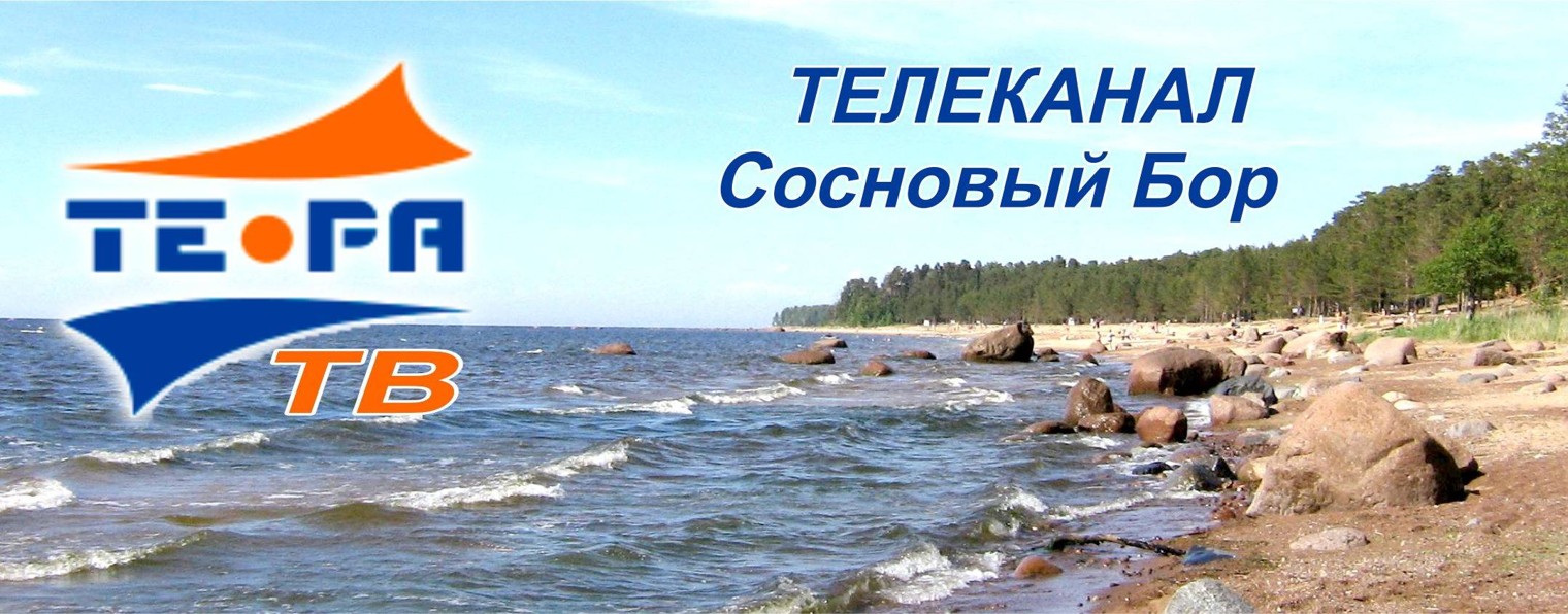 ТЕРА СТУДИЯ. г. Сосновый Бор