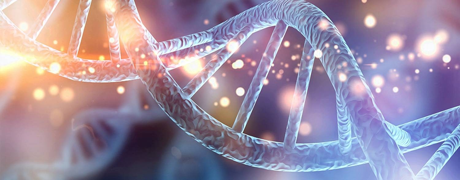 Биология ЕГЭ/ОГЭ