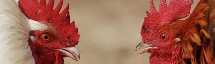 Стас Михайлов NextRP