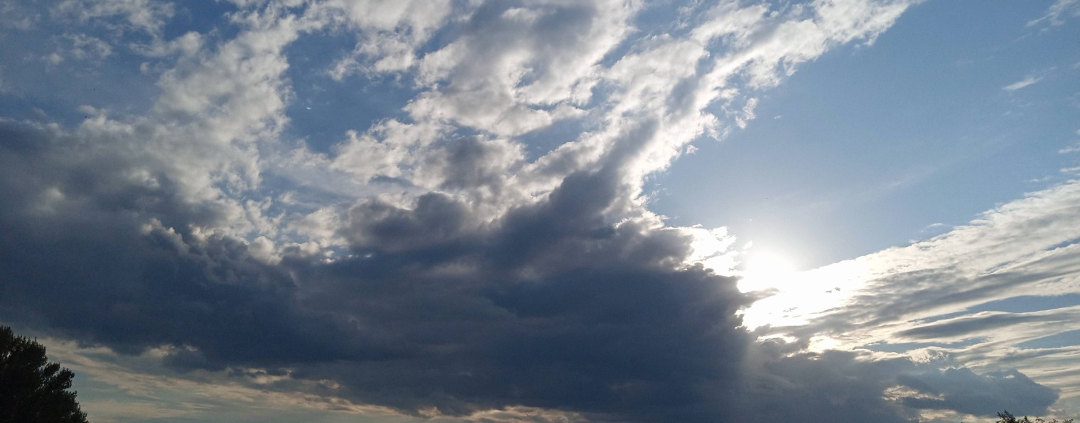 Монах Илиодор