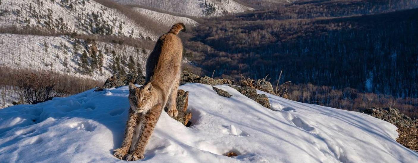 Рутьюб:Начало_160824