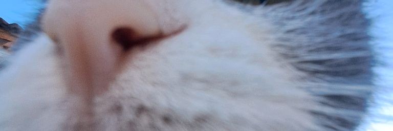 Фан-клуб Люциуса Сагата