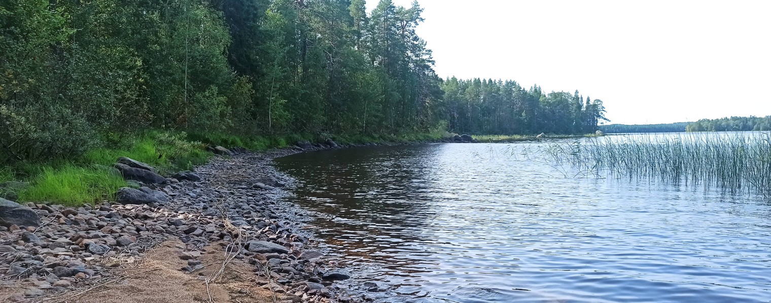 Андрей Мякотин