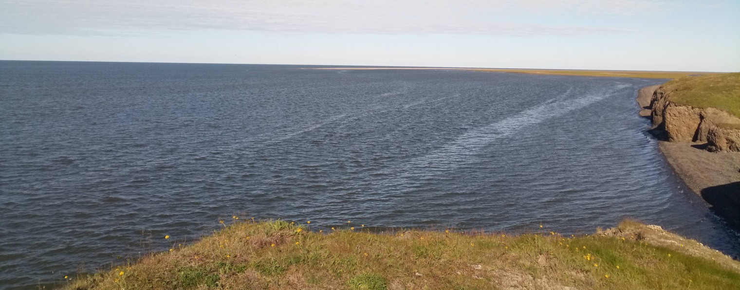 Александр Лёвочкин