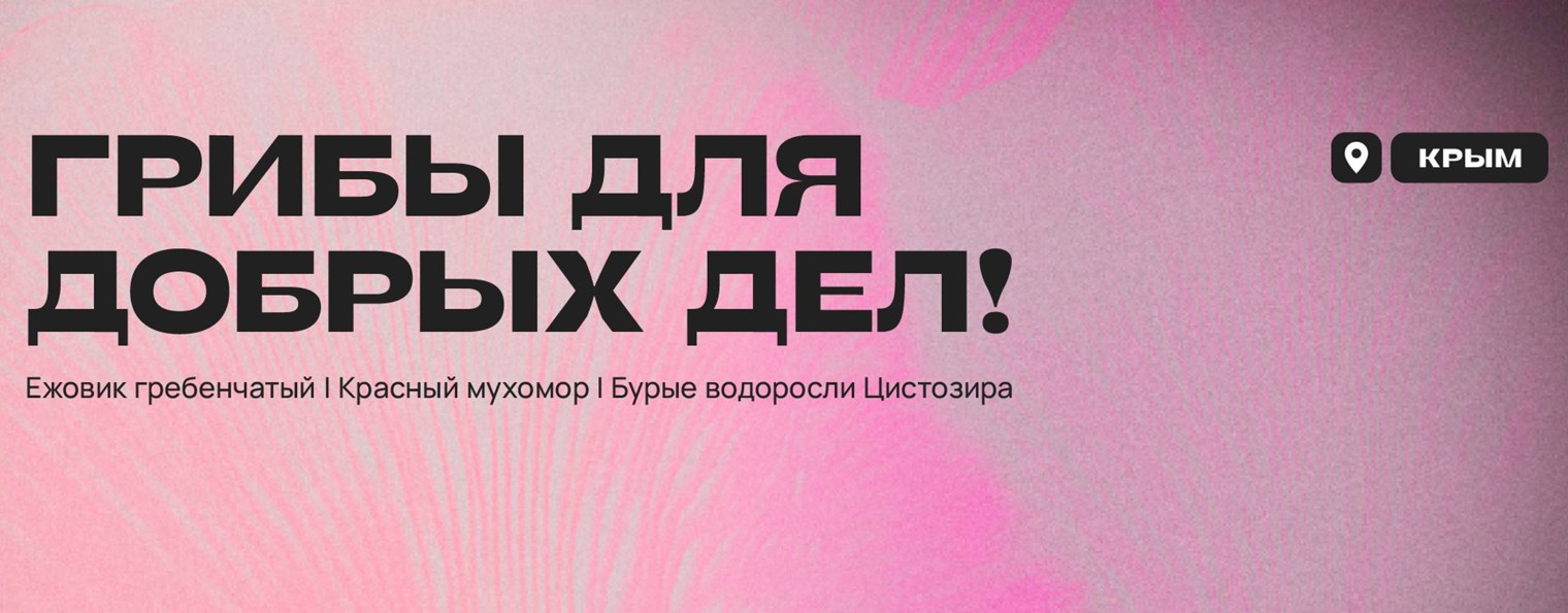 🍄Грибной биохакинг🧠СПОРС