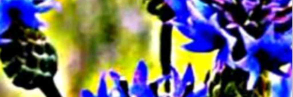 🪽🐈⬛🫂-_||{VАSИLИSА_²∅²4}||_-🫂🐈⬛🪽