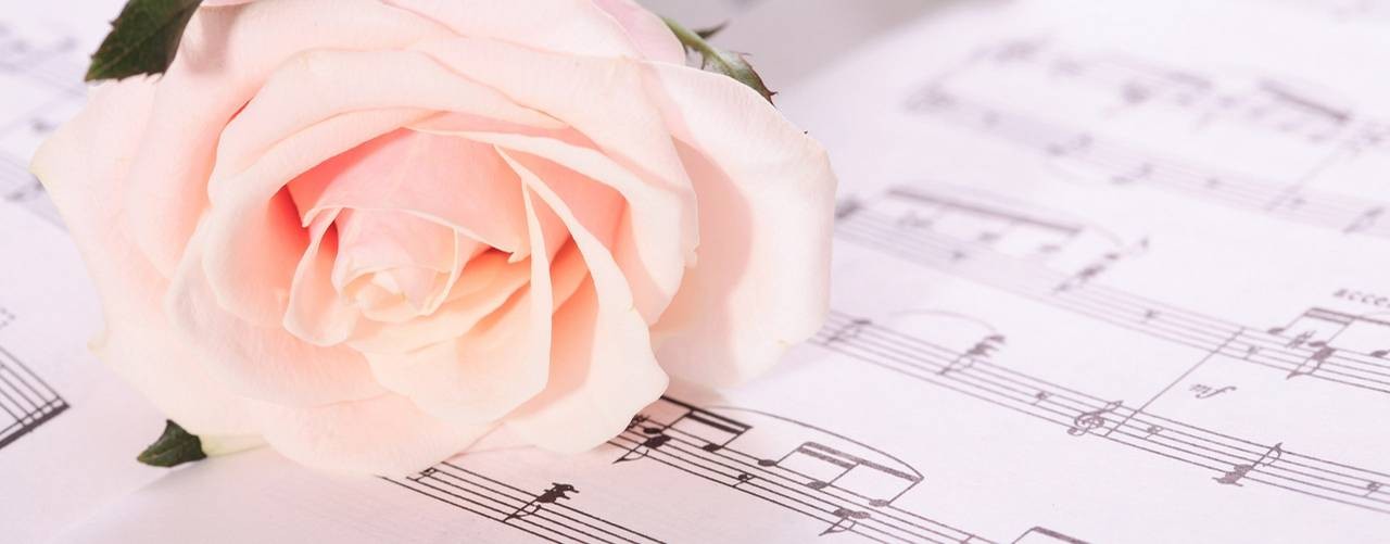 Елена Стародубцева