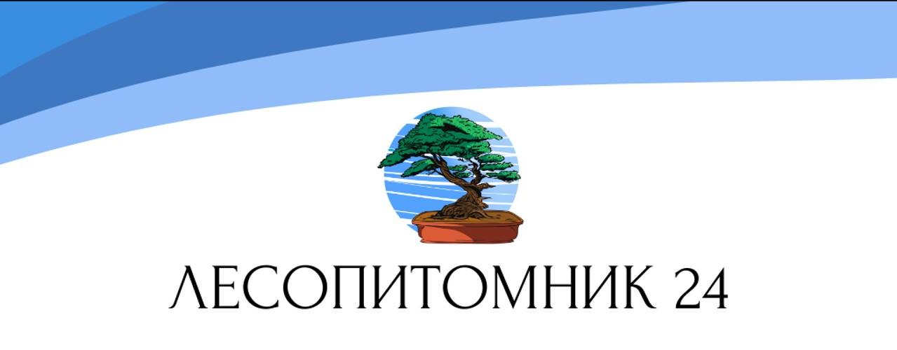 Лесопитомник 24
