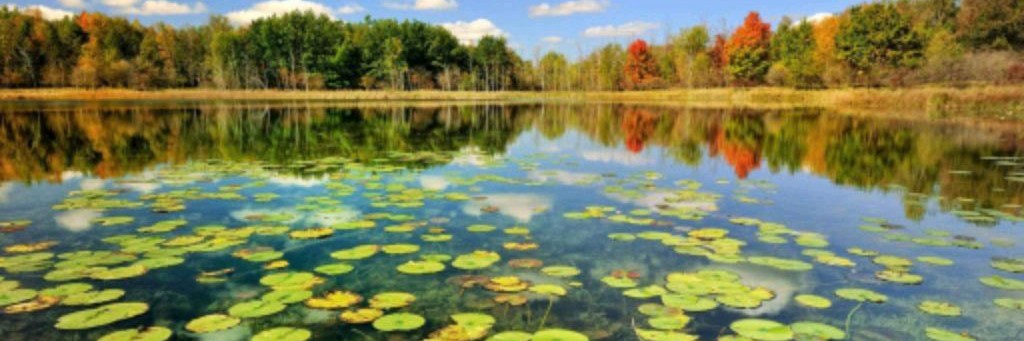 Рыбалка и природа