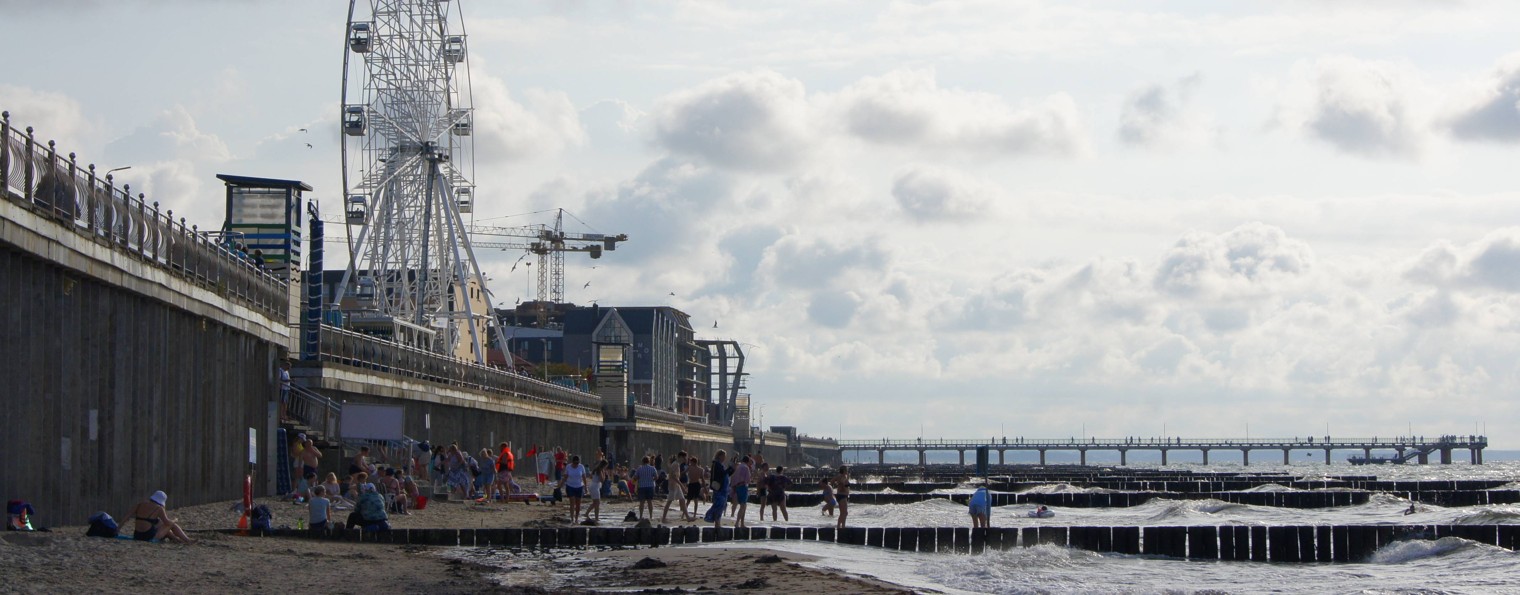 Яна Чечулина