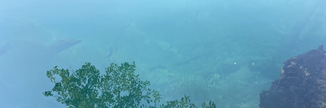 Кабардино-Балкария