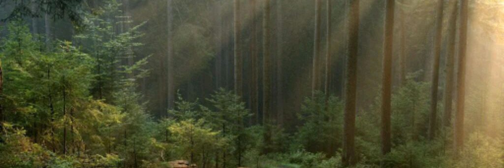 ГусьЗаРусь