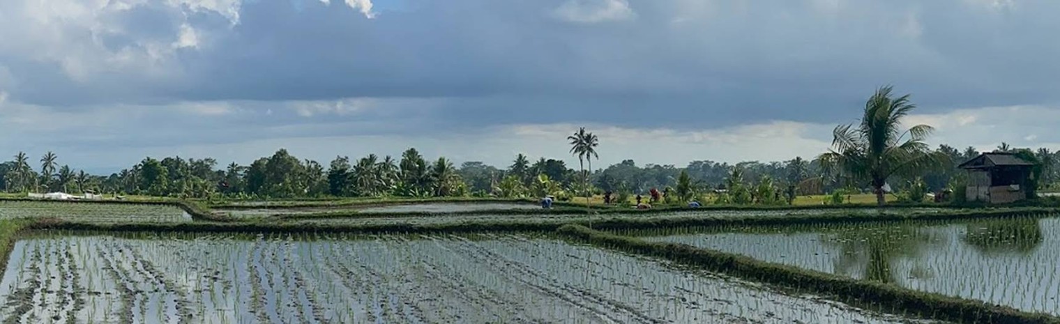 Игорь Тирский