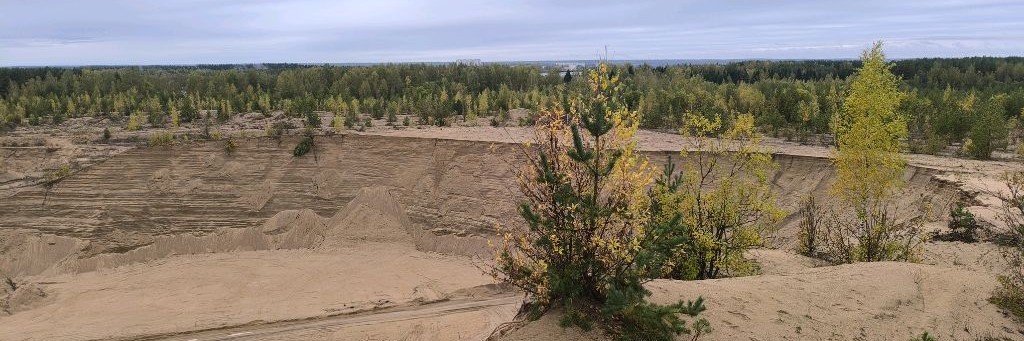 Квадробудни