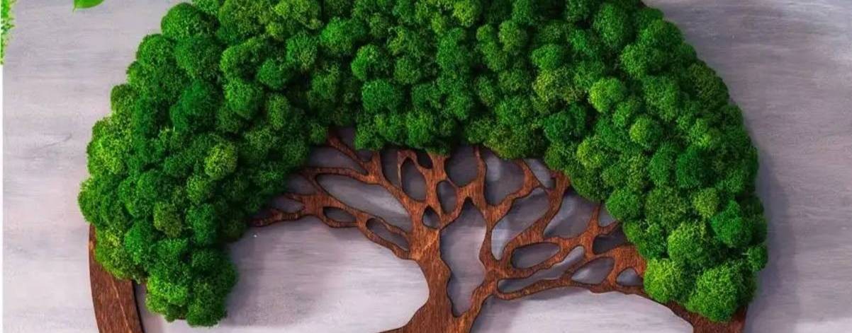 ДревоЖизни1.рф