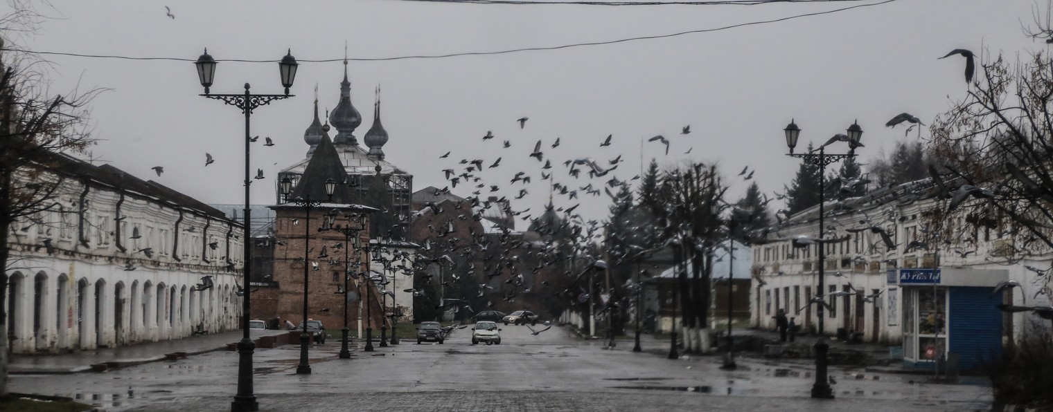 Ольга Ключарева