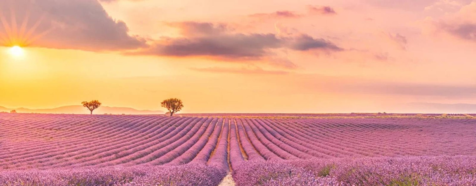 Яна Иванова | твой личный ароматерапевт