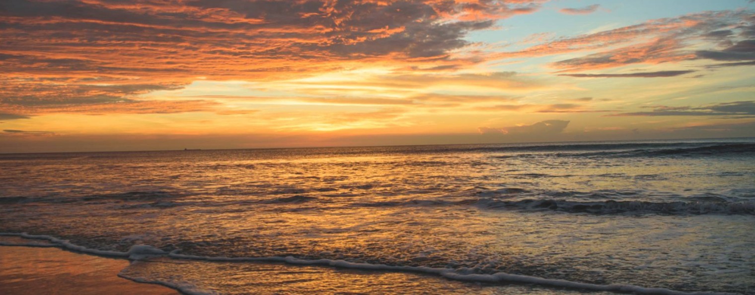 Коуч Максим Рыбалко