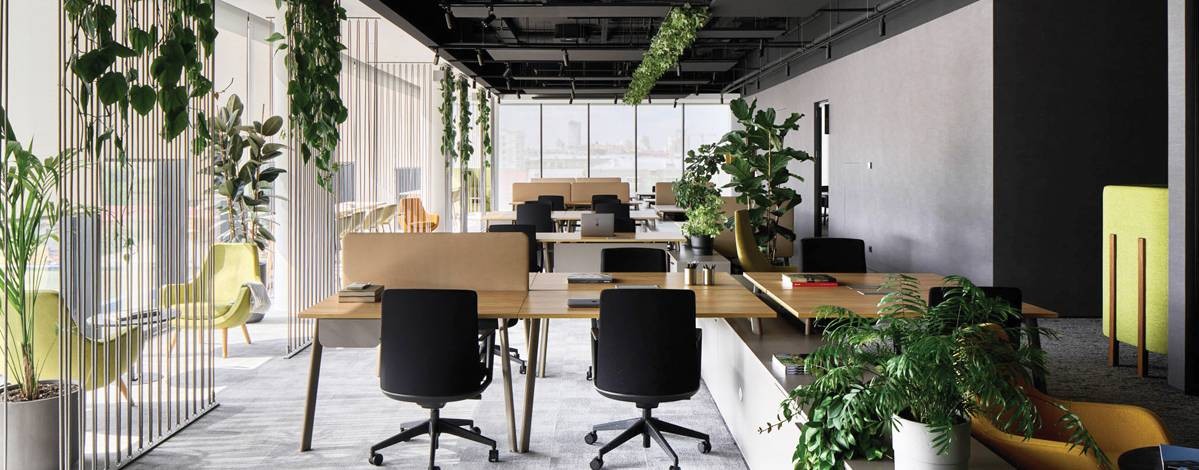Solo Office Interiors