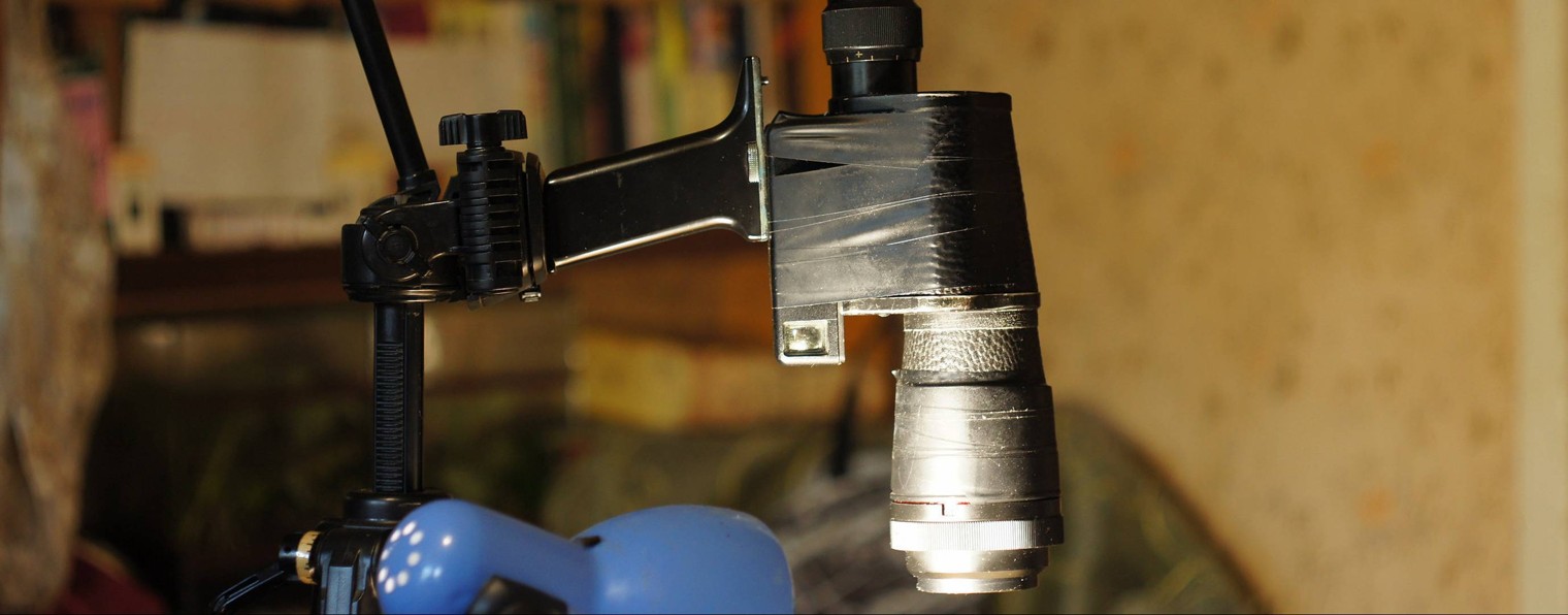 Бедный зоолог