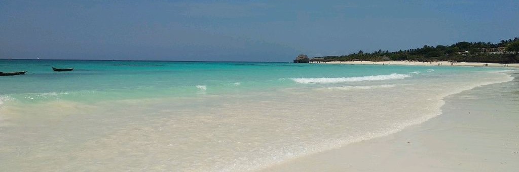 Владимир Золотарев