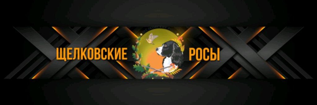 Щёлковские РОСы