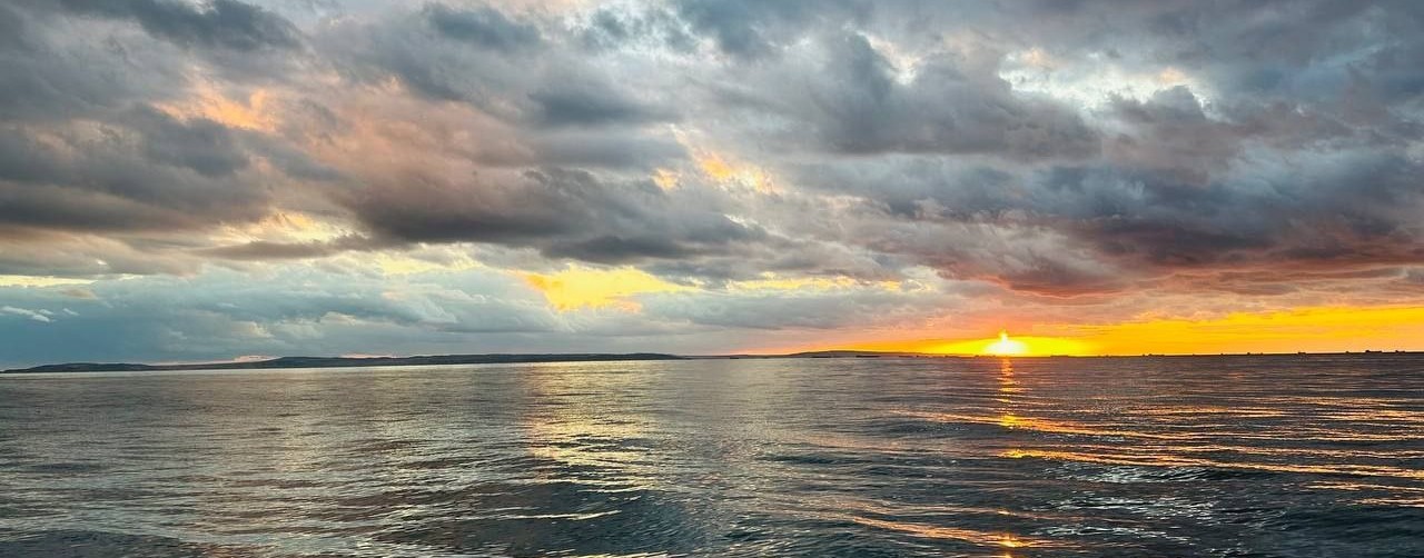 Репортёр Папилкин