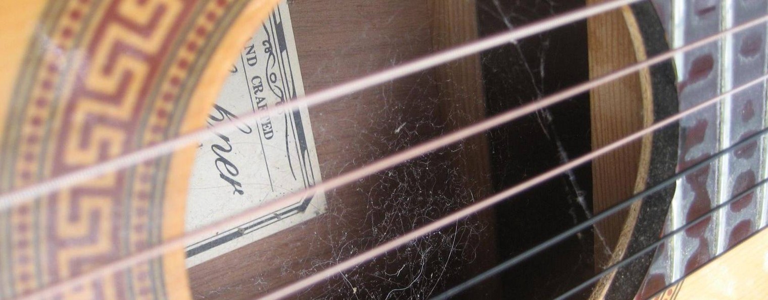 С песней по жизни