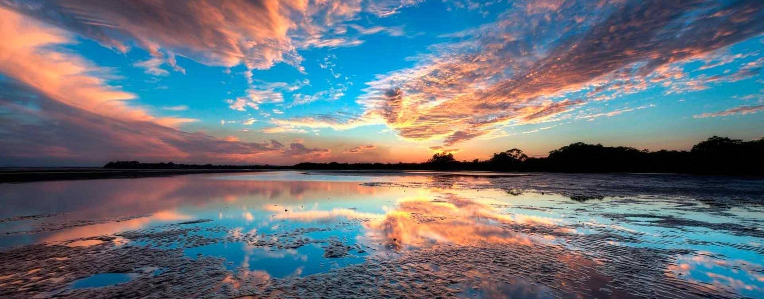 Елена Сергеева/Авторская песня