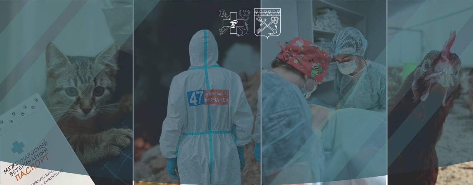 Государственная ветеринарная служба Ленобласти