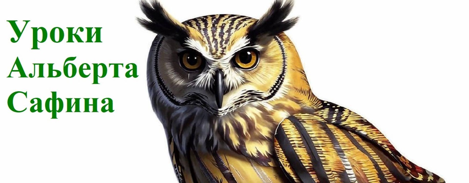 Уроки Альберта Сафина