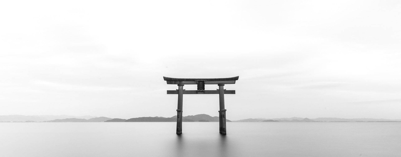 Дмитрий Медведьев