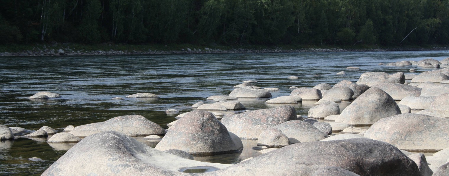 Мой Гараж 124