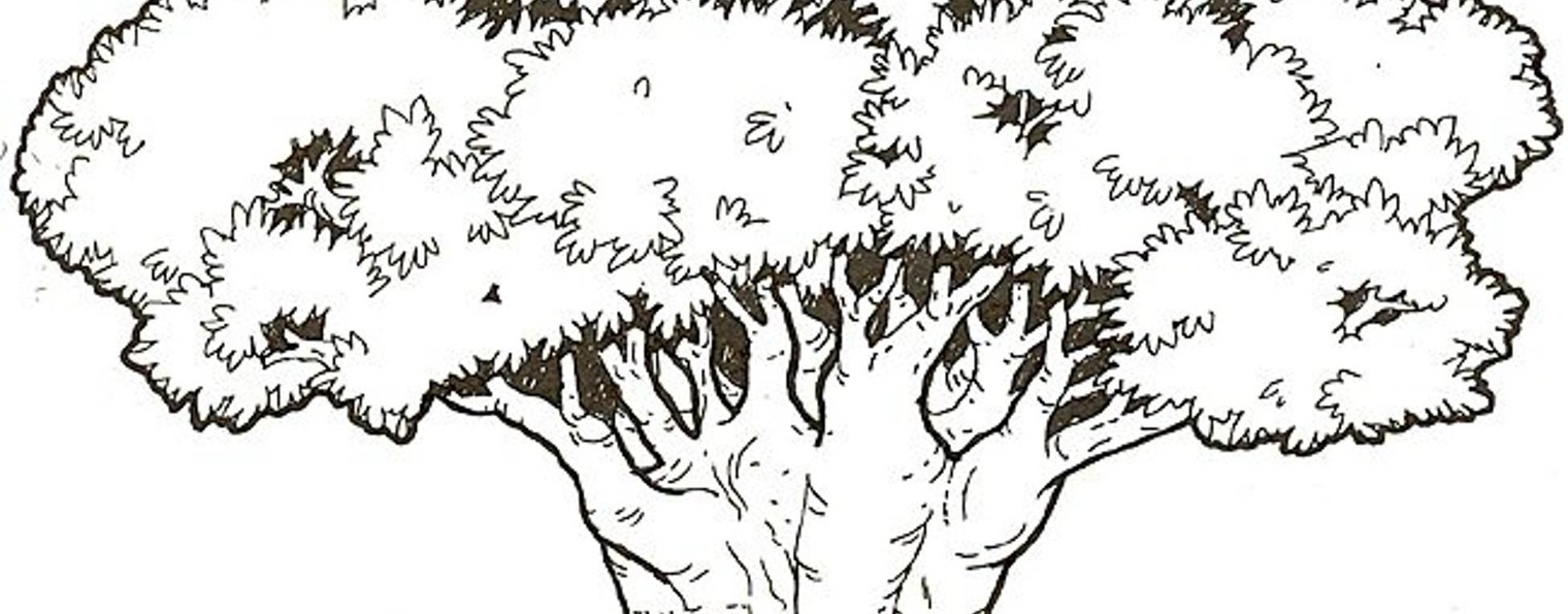 Творческая мастерская Баобаб-46