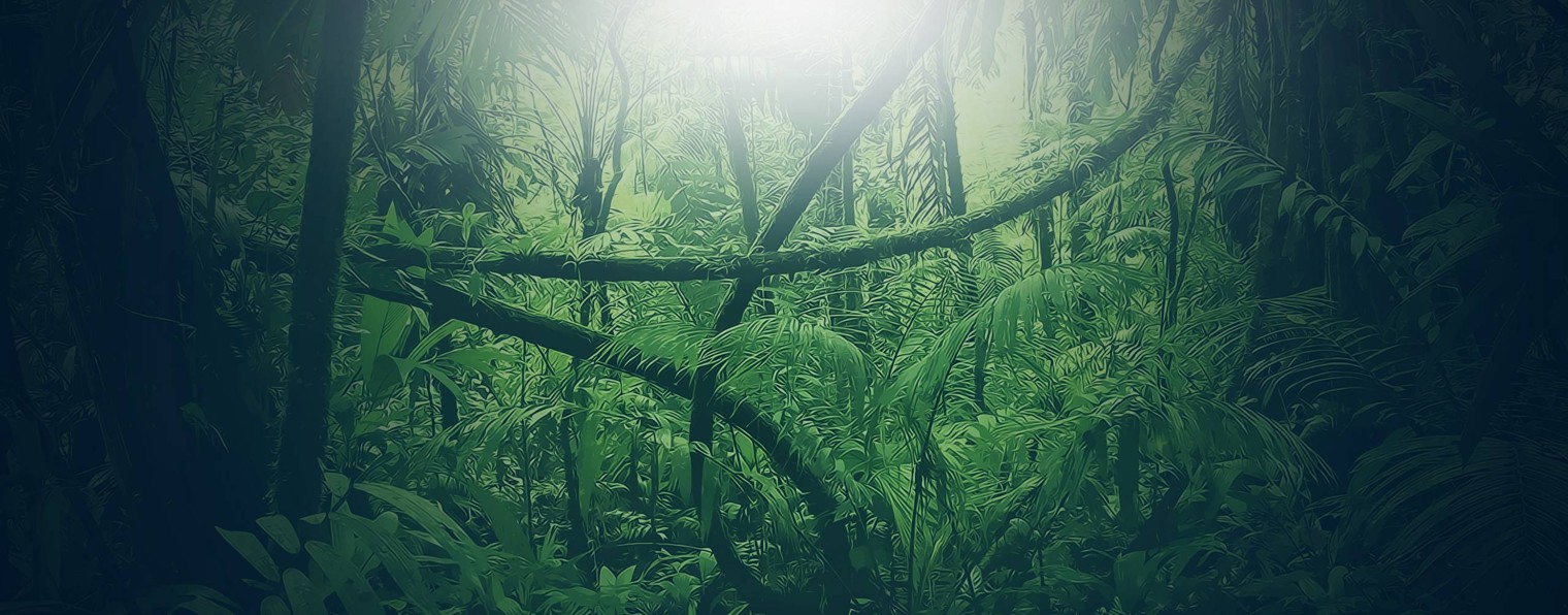 Игровая Берлога