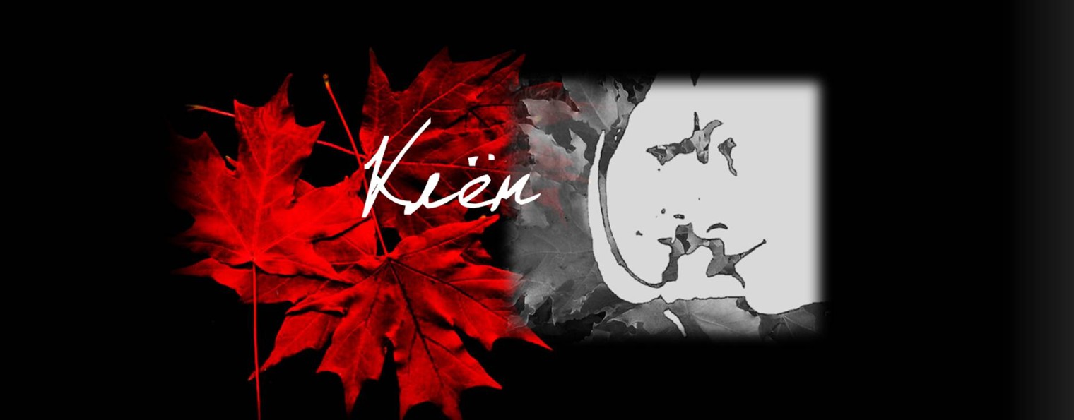 Клен кудрявый