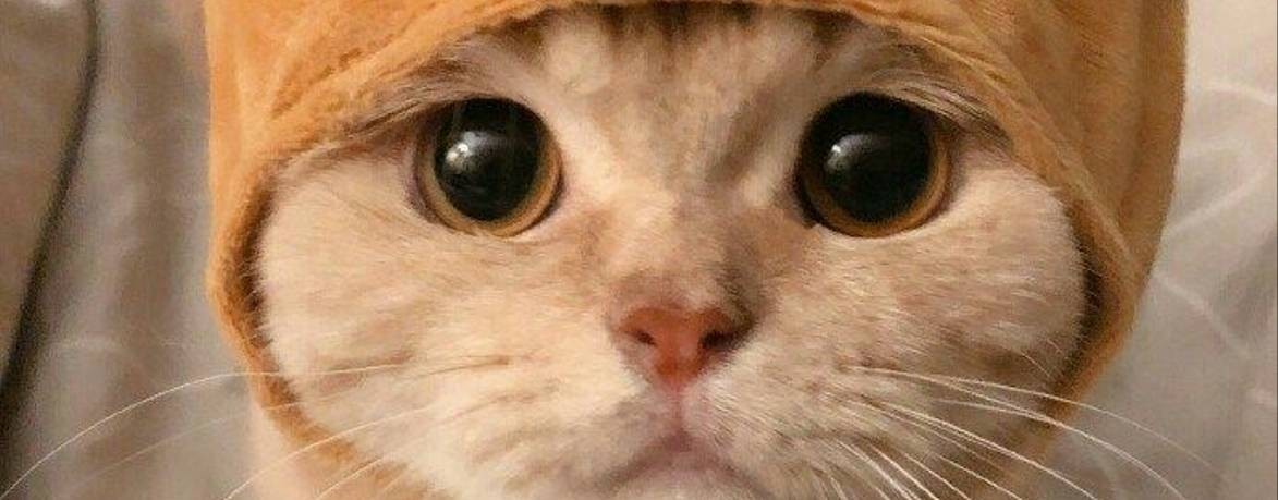 Ешка