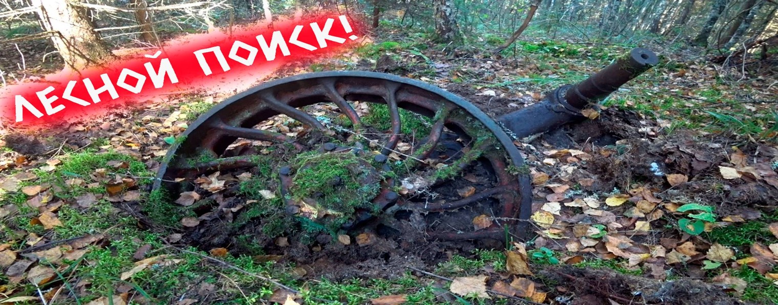 Лесной поиск