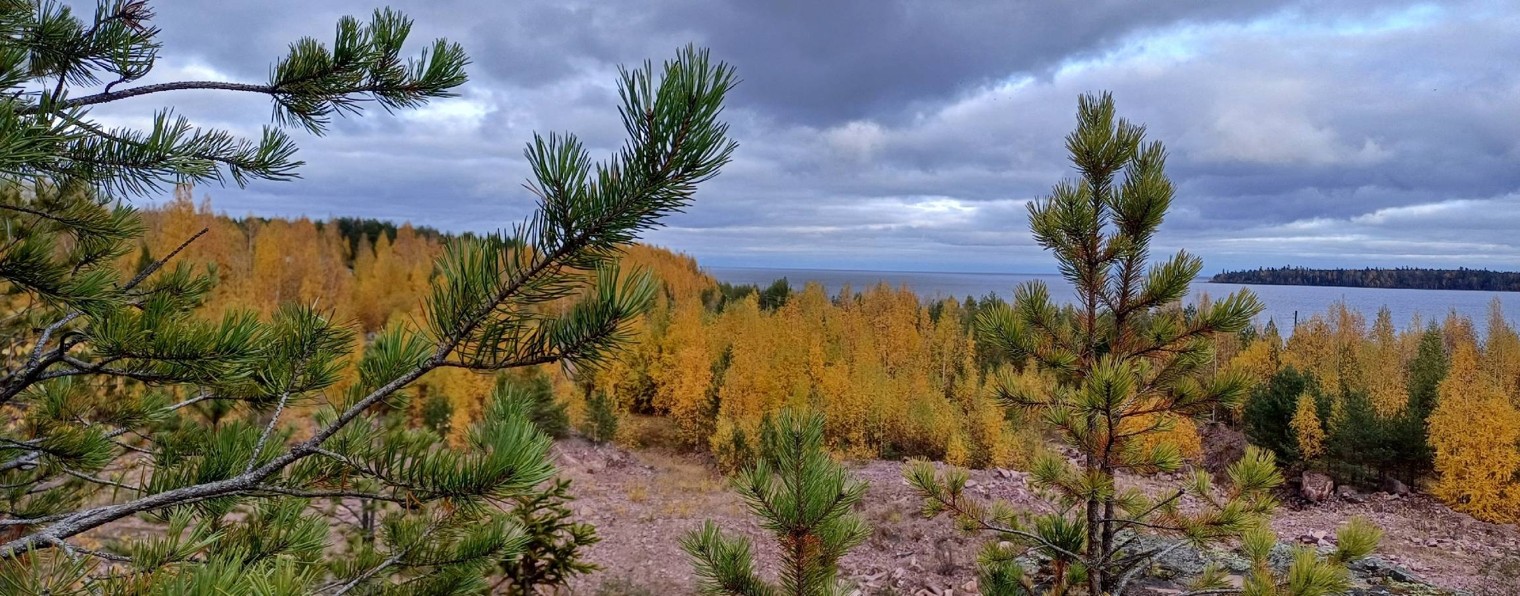 Сахаджа Йога в Карелии