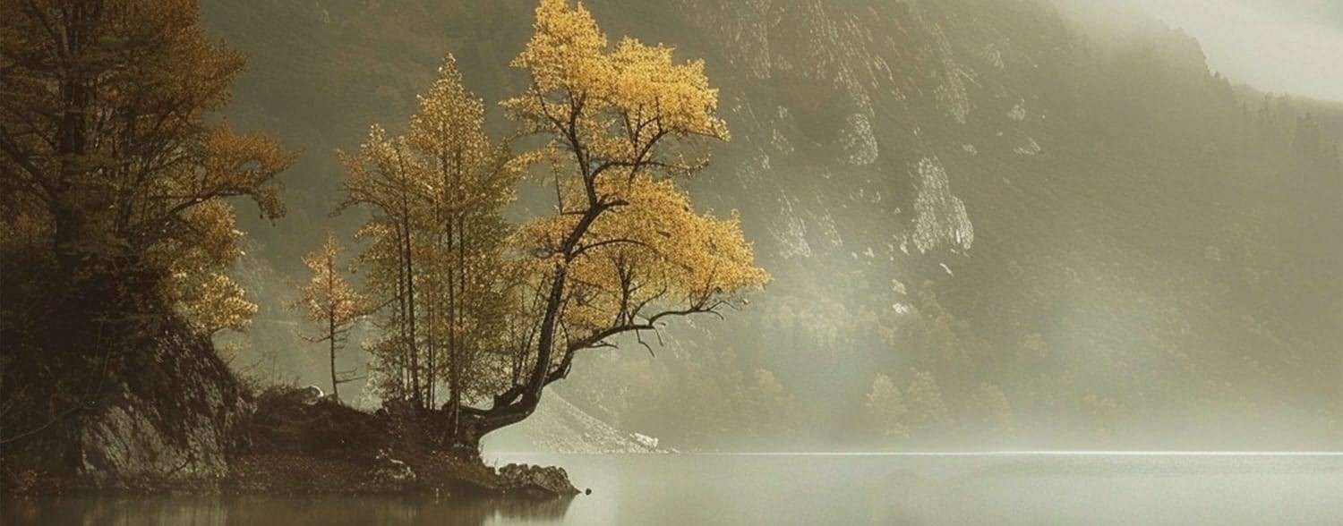 Алексей Герасимов (фортепиано)