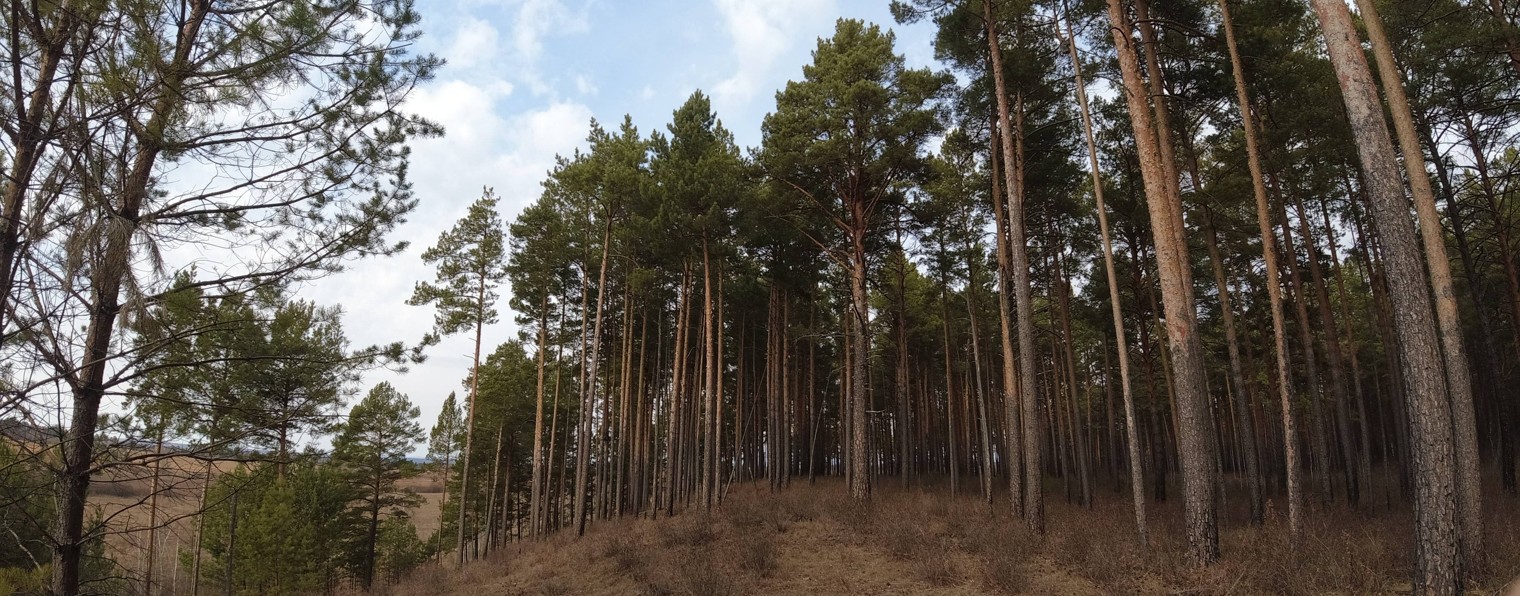 LeoSpilbergg