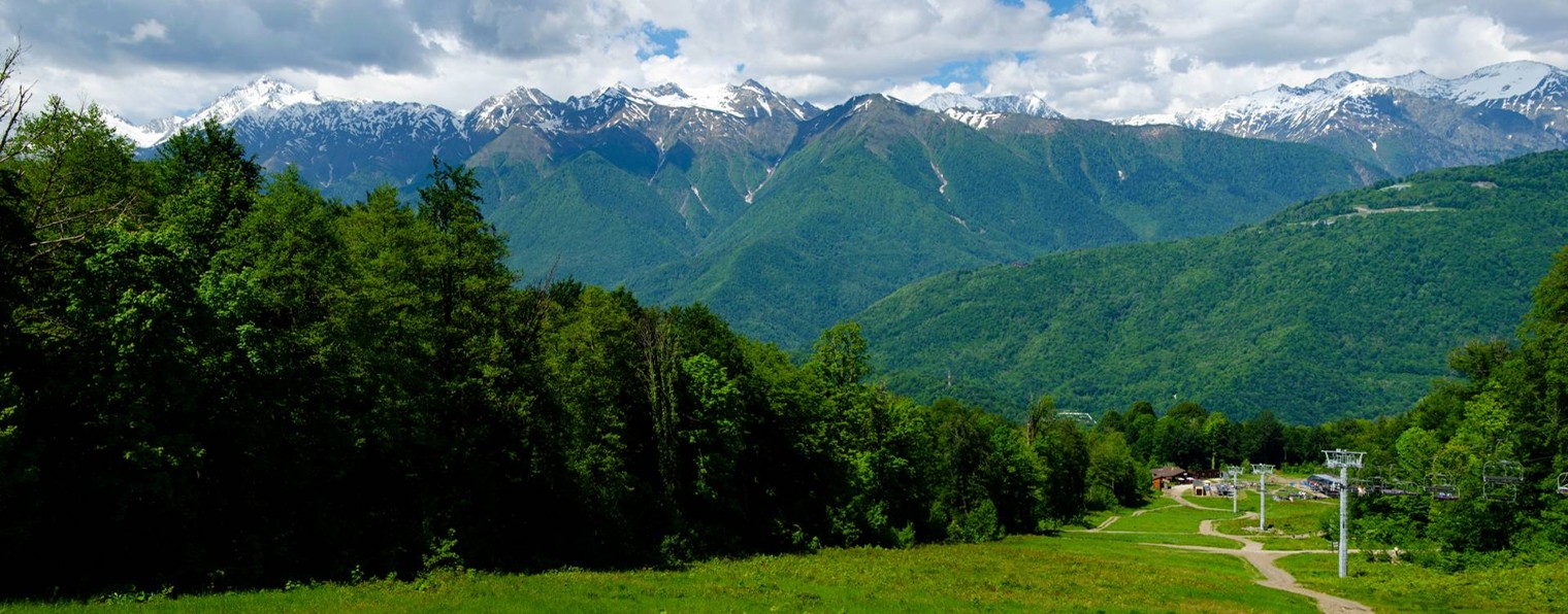 ДимонТравел