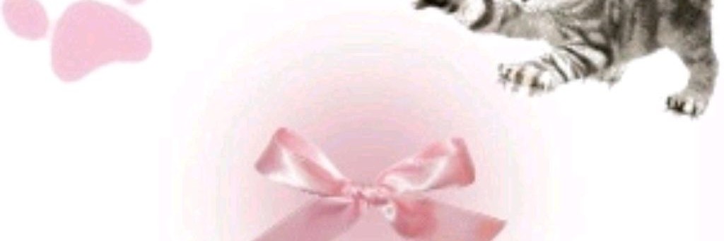 Hello Kitty✨rbx✨