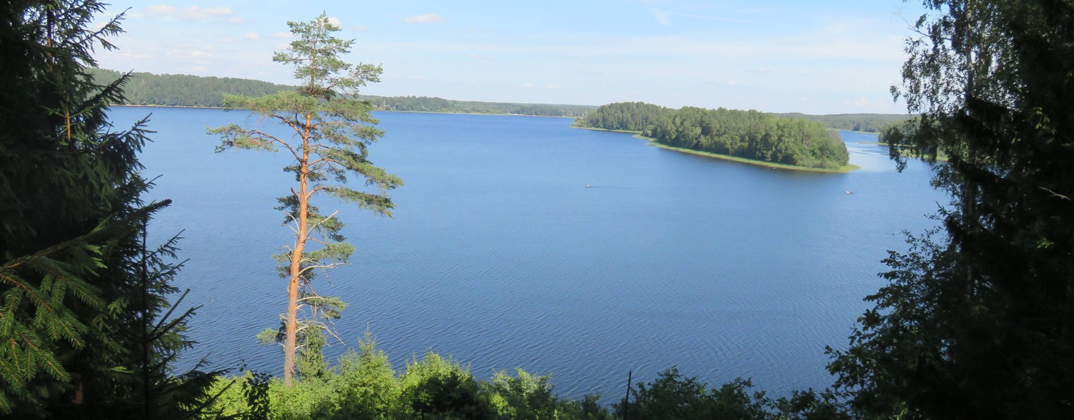 сергей вяземский