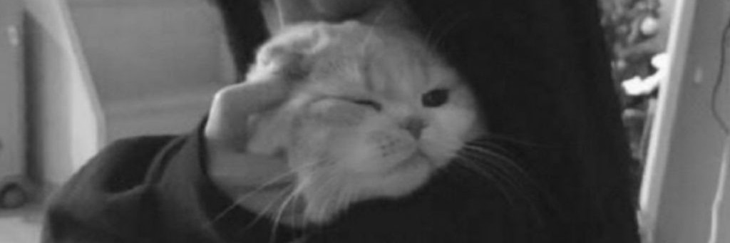 Ксюша 💋💋💋💞💞💞💓💓💝💘🩷🤍