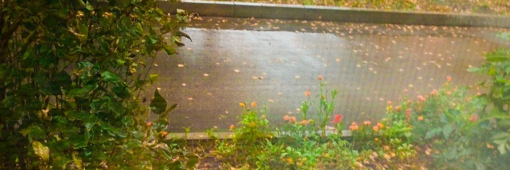 День за Днем