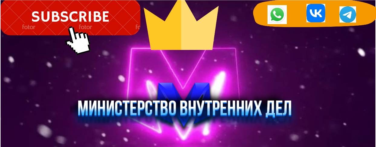 Cat the ladder player