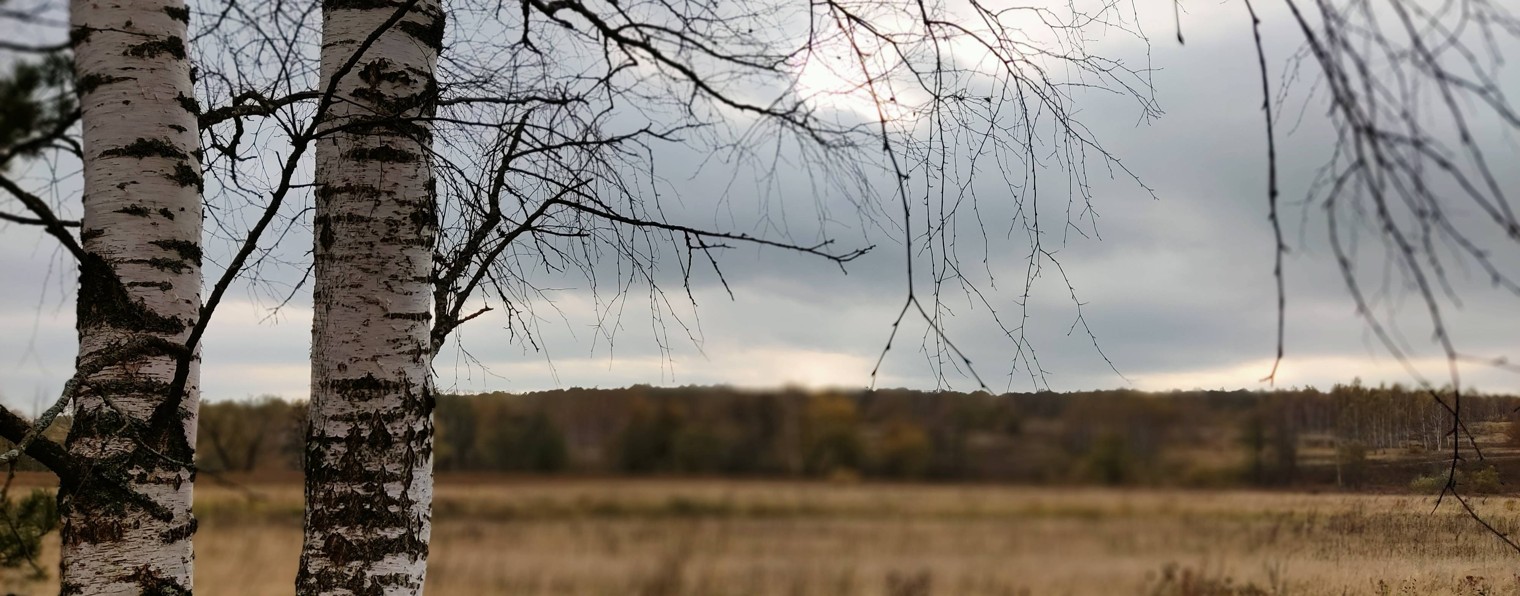 На байдарке и не только