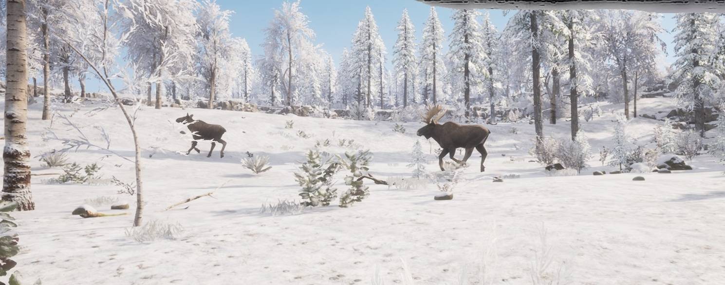 Tigrasha Fillipsovna