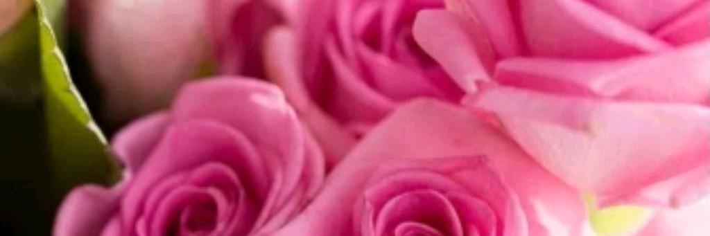 СКАЗОЧНАЯ РАДОСТЬ☀️